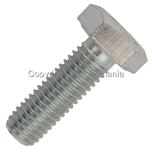 Surub cap hexagonal M8 / 70 mm - Monplast